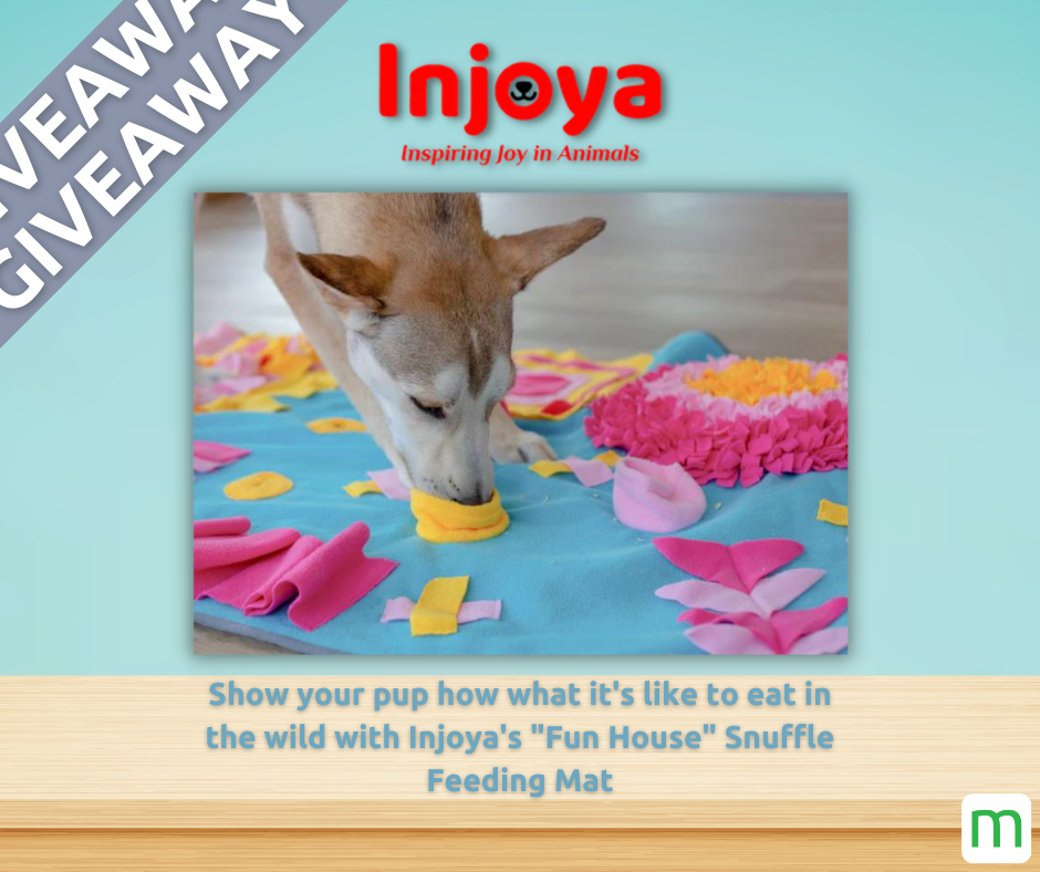 Enter to win Fun House – a mental enrichment slow feeder for dogs from ...