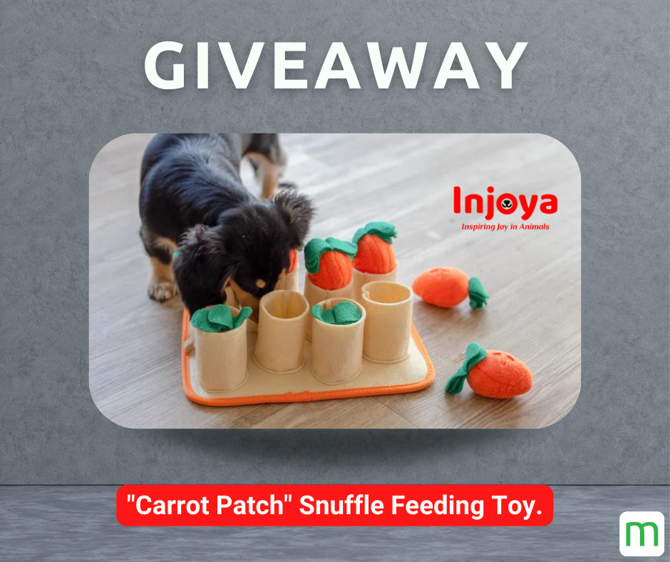 Enter to win the Carrot Patch – a slow feeder for dogs from Injoya