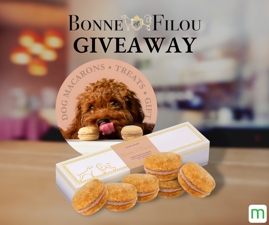 Enter to win a Box of 6 Dog Macarons from Bonne et Filou